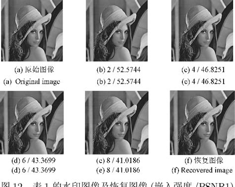 Figure 1 From A Reversible Image Watermarking Algorithm Using Linear