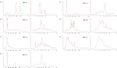 Optimal Small Molecular Reference Rna For Rt Qpcr Based Body Fluid