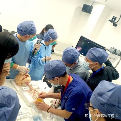 高仿真模型在医疗模拟中的应用 知乎