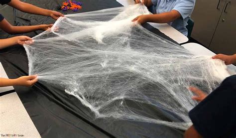 Spider Classroom Transformation Classroom Transformation Theme Days