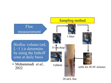 Biofloc Technologypptx Pangasius And Tilapia Fish Culture Pptx