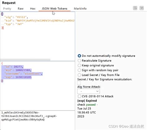 day69：web攻防 java安全andjwt攻防andswagger自动化and算法and签名and密匙anddruid泄漏 csdn博客