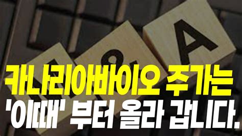 카나리아바이오 주가 전망 이 때 부터 올라 갑니다주가시점목표가 Youtube