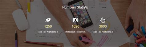 استفاده از اعداد برای نمایش آمار تصادفی در وردپرس با Tf Random Number نوین وردپرس مرجع کامل