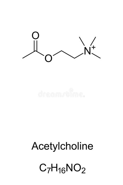 Chemical Formula Acetylcholine Chalkboard Stock Illustrations 283