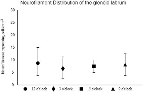 Figure 2 From Superior And Anterior Glenoid Labral Tears Are Associated With Increased