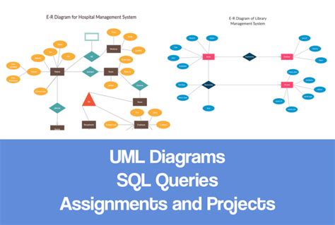 Do Database Assignments Sql Tasks Er Diagrams And Srs By Ahsanrasheed341 Fiverr