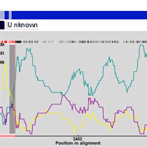 Phylogenetic Tree Showing Genetic Relationship Of Banana Bunchy Top Download Scientific Diagram