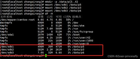 parted分区挂载过程遇到的问题解决方案 mklabel gpt报错 csdn博客