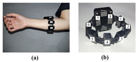 Sensors Free Full Text Physical Exertion Recognition Using Surface Electromyography And