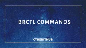 Best Brctl Command Examples In Linux CyberITHub