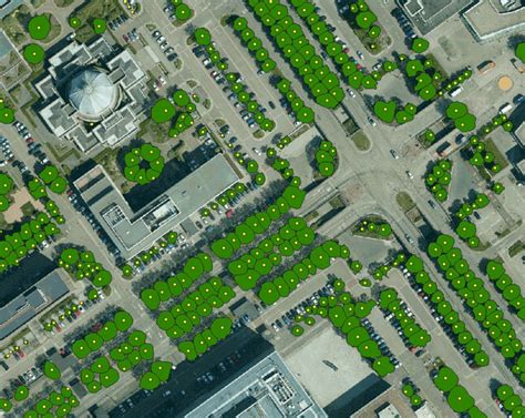 Using Remote Sensing To Count Trees Geography Realm
