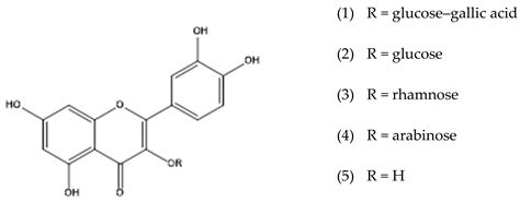 Isolation Of Flavonoids From Plant Extracts At Lawrence Melson Blog