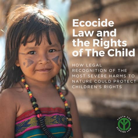 🚀 Youth For Ecocide Law Have Just Launched Their New Report Ecocide