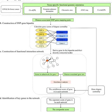 An Overview Of The Integrative Genomics Network Based Approach A