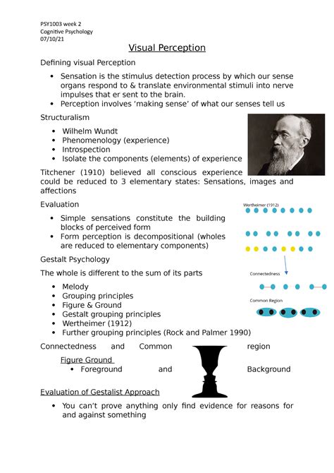 Visual Perception Examples