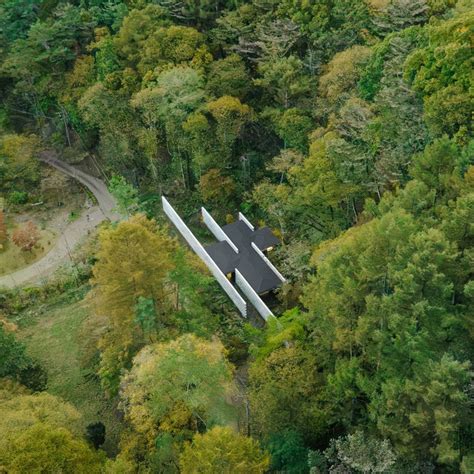 Angular Tree Like Columns Form Structure Of Kensuke Watanabe S Y House