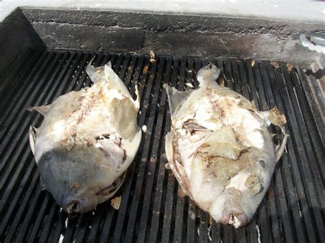 La Pazbaja California Sures Asando Pescado Lo Conocemos Como Cochitos