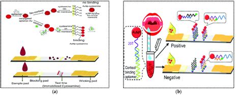 A A Lfa Based On Adsorption Desorption Of An Aptamer On The Surface Download Scientific