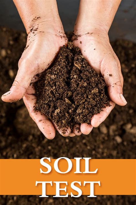 Testing Soil In Hand