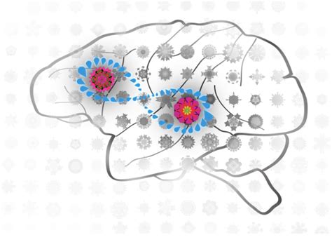 Research Projects Ghazizadeh Lab