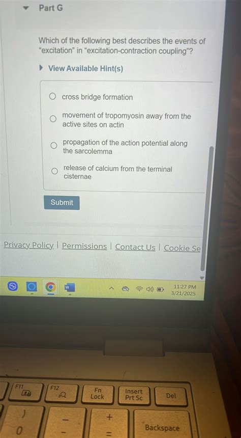 Part G Which Of The Following Best Describes The Events Of Excitation