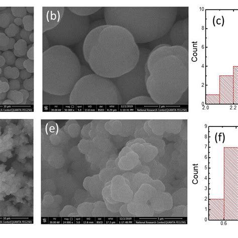 Particle Size Analysis Of Nip And Mip Particles Ab Sem Image Of Download Scientific Diagram