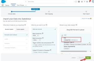 How To Mass Import Contacts Into Salesforce