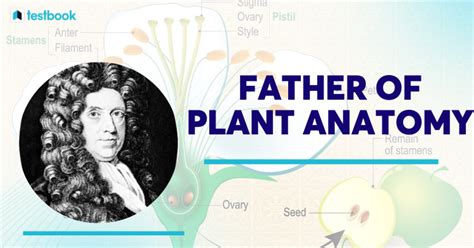 Father Of Plant Anatomy Botany Final Hrs Revision Complete Botany 1