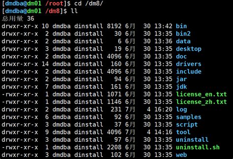 达梦数据库数据库目录结构及达梦数据库管理工具 李导7323 博客园
