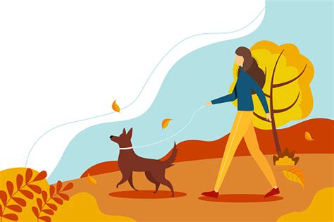 가을에 공원에서 개와 함께 걷는 여성 활동적인 라이프 스타일 야외 레크리에이션의 개념 플랫 스타일로 귀여운 일러스트 10월에 대한 스톡 벡터 아트 및 기타 이미지 Istock