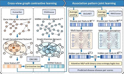Explore Dismvc A Multi View Graph Collaborative Learning Framework For Measuring Disease