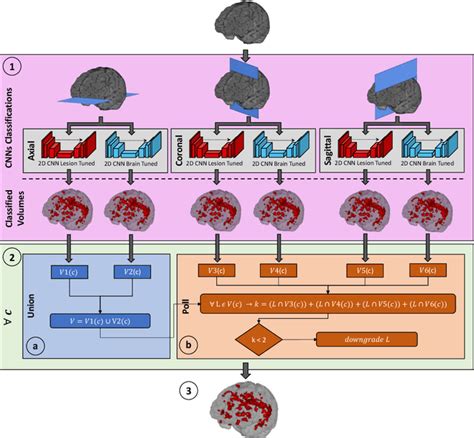 multiple sclerosis lesions identification segmentation in magnetic