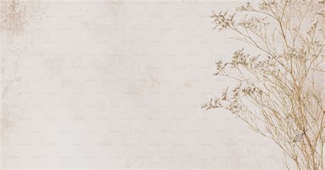 식물이 있는 탁자 위에 포장된 선물 두 개 사진 Unsplash의 선물 이미지