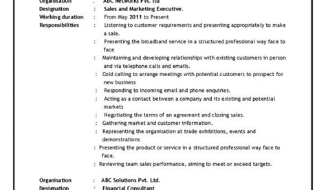 Resume Format Word File For Sales Executive Executive Resume Template 31 Free Word Pdf Indesign