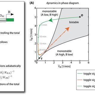 Toggle Probability Of The Genetic JK Latch Probability To Switch In Download Scientific