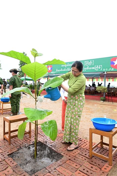 ကာကွယ်ရေးဦးစီးချုပ်ရုံး ကြည်း၊ ရေ၊ လေ မိသားစုများ၏ ၂ဝ၂၅ ခုနှစ် ဒုတိယအကြိမ် မိုးရာသီ သစ်ပင်စိုက
