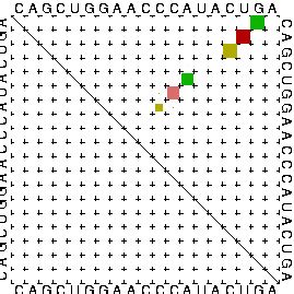 Vienna RNA Web Servers