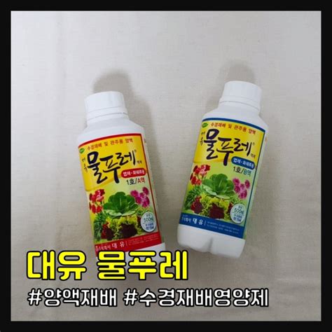 대유 물푸레 후기 수경재배 영양제 네이버 블로그
