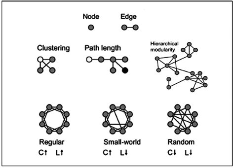 core measures of graph theory nodes and edges clustering coefficient