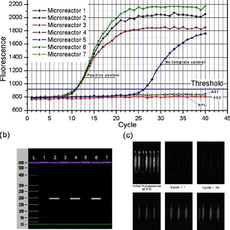 Pdf Real Time Pcr Array Chip With Capillary Driven Sample Loading And Reactor Sealing For