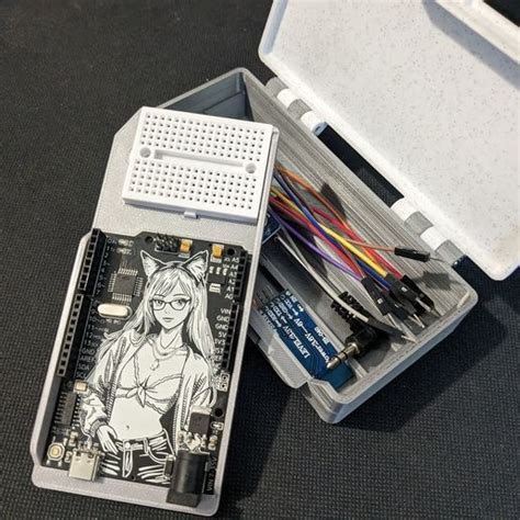 AssDuino Cover Sexy Anime Development Arduino Uno Board CaseFree D File For Cults