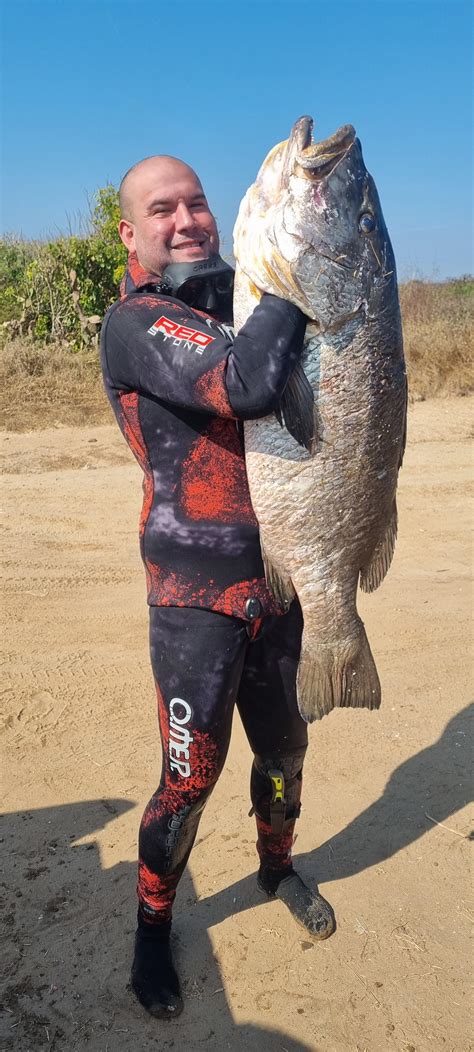 Cubera Snapper 44lb 20kilo Rspearfishing