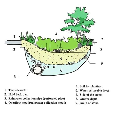 Structure Diagram Of Sunken Green Space Download Scientific Diagram