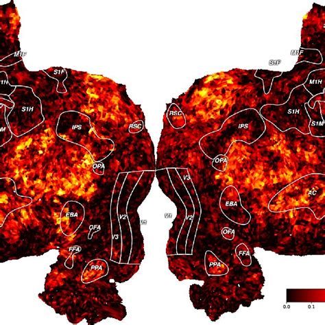 Figure A1 Generalization Performance For Individual Voxel Models
