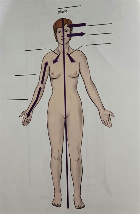 Bio 116 Quiz 1 Diagram Quizlet
