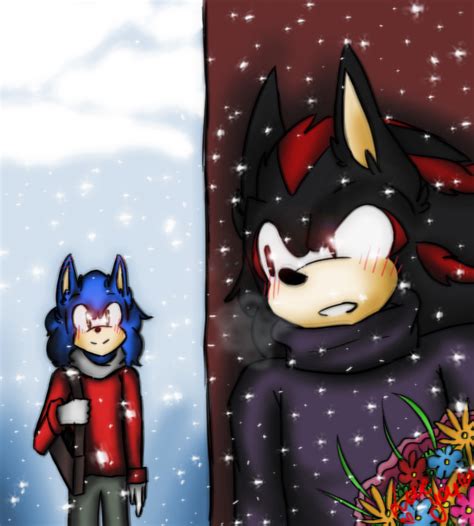 Sonic And Shadow Love By Pirog Art On Deviantart