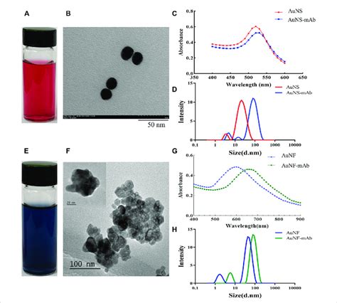 Characterization Of Au Nanoparticles A E Profile Of Auns And Aunf Download Scientific