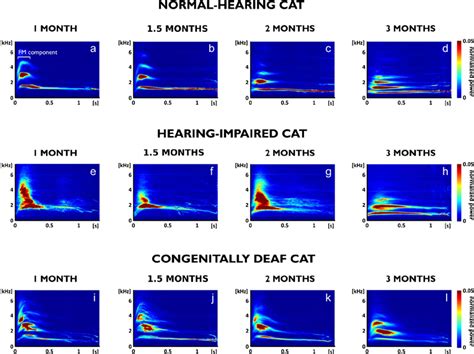 Development Of Mean Spectrogram Representations In The Three