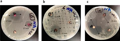 Figure 1 From Gcms Profiling Of Naturally Extracted Essential Oils